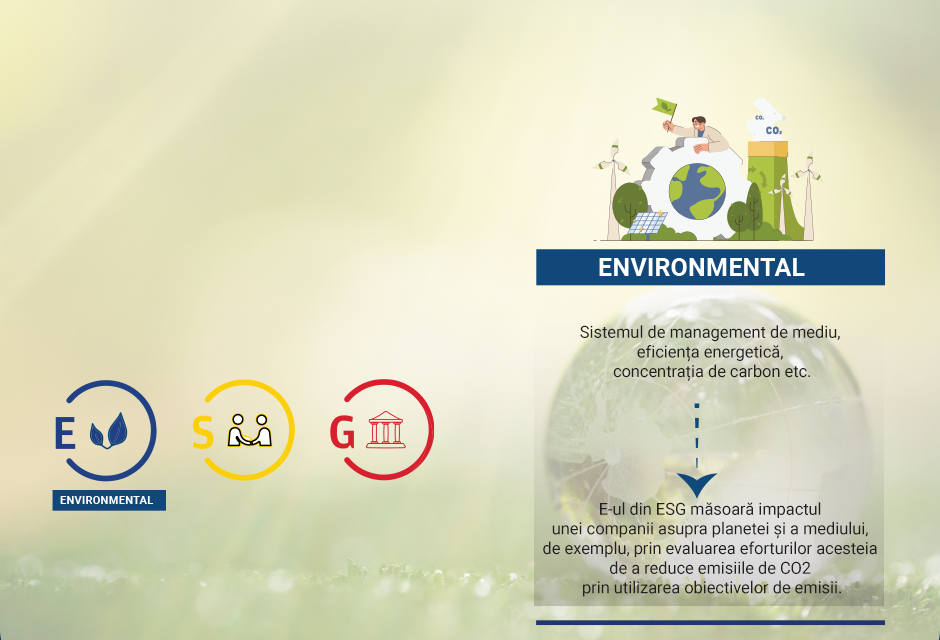 Sustenabilitate - MICB